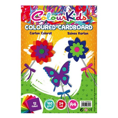 Carton Copiator A4 As Mixt 160g 12 Cul 24/Top Colour Kids Pigna ...